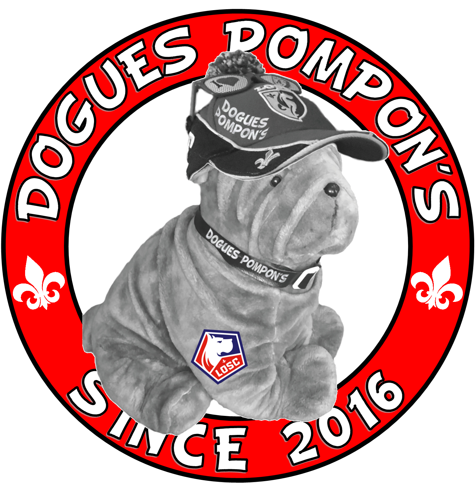 LES DOGUES POMPON'S / Annuaire des associations / Associations - Ville de Lomme